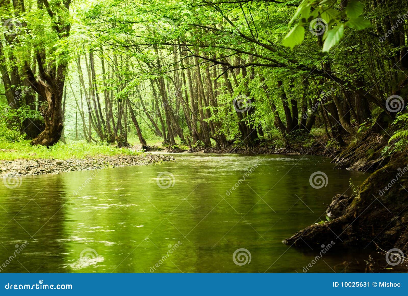 Groene bos en rivier stock afbeelding. Image of steen - 10025631