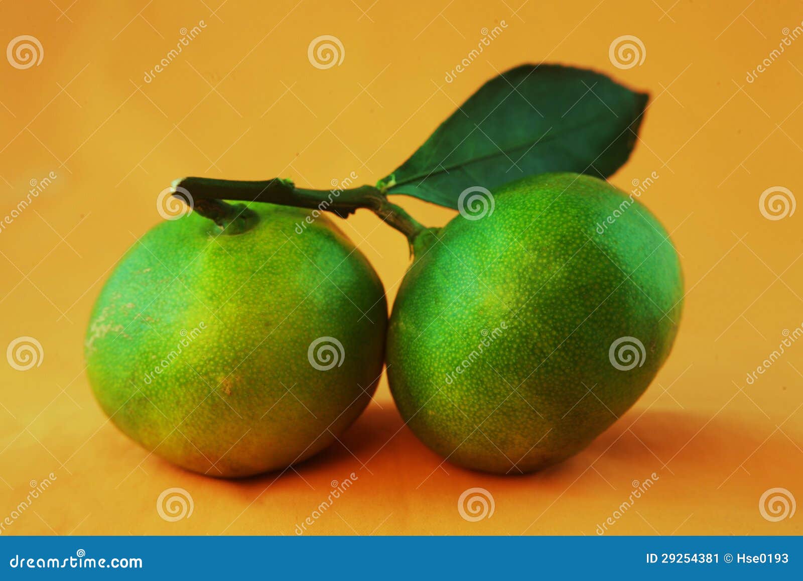 Groene citrusvrucht stock afbeelding. Image of onrijp - 29254381