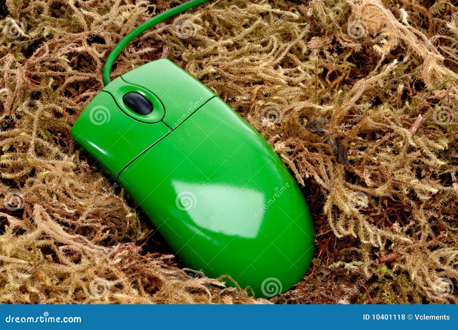 Groene computermuis op mos stock foto. Image of buiten - 10401118