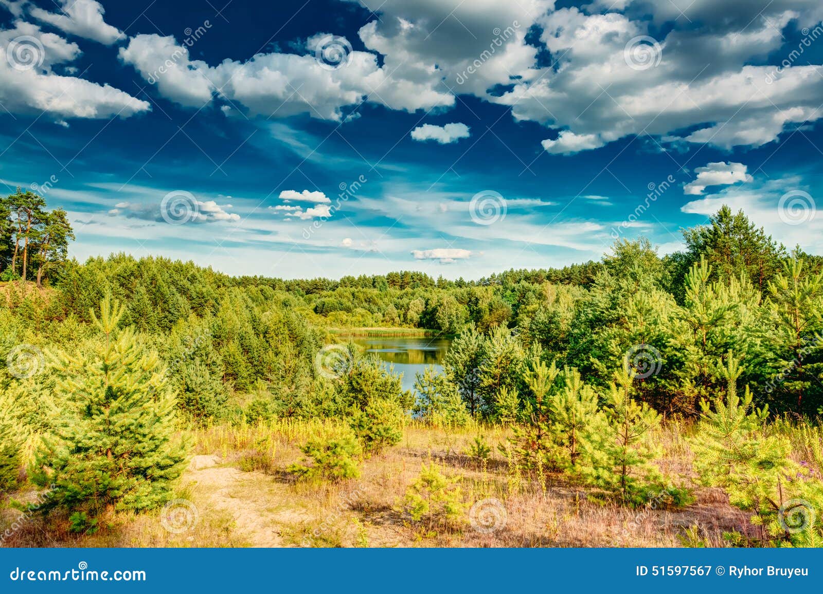 Groene De Zomer Bos, Russische Aard Stock Afbeelding - Image of blauw ...