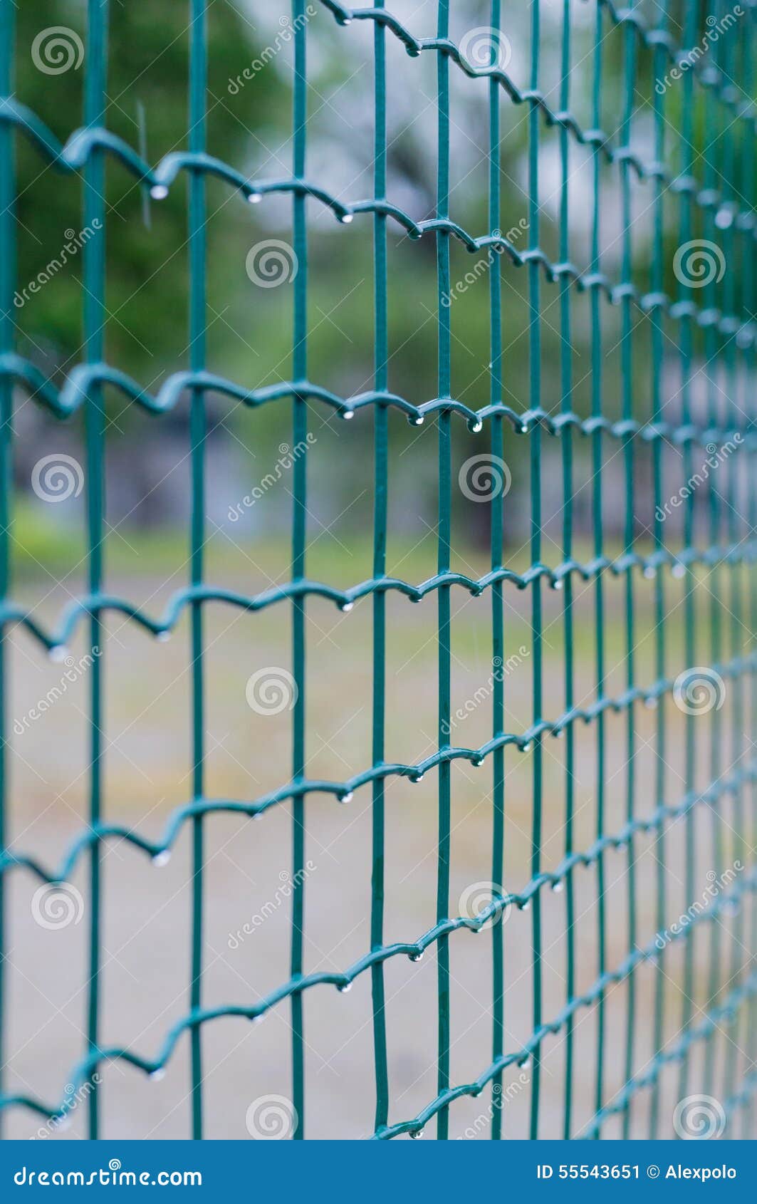 Groene Draadomheining Na Regenclose-up Stock Afbeelding - Image of ...