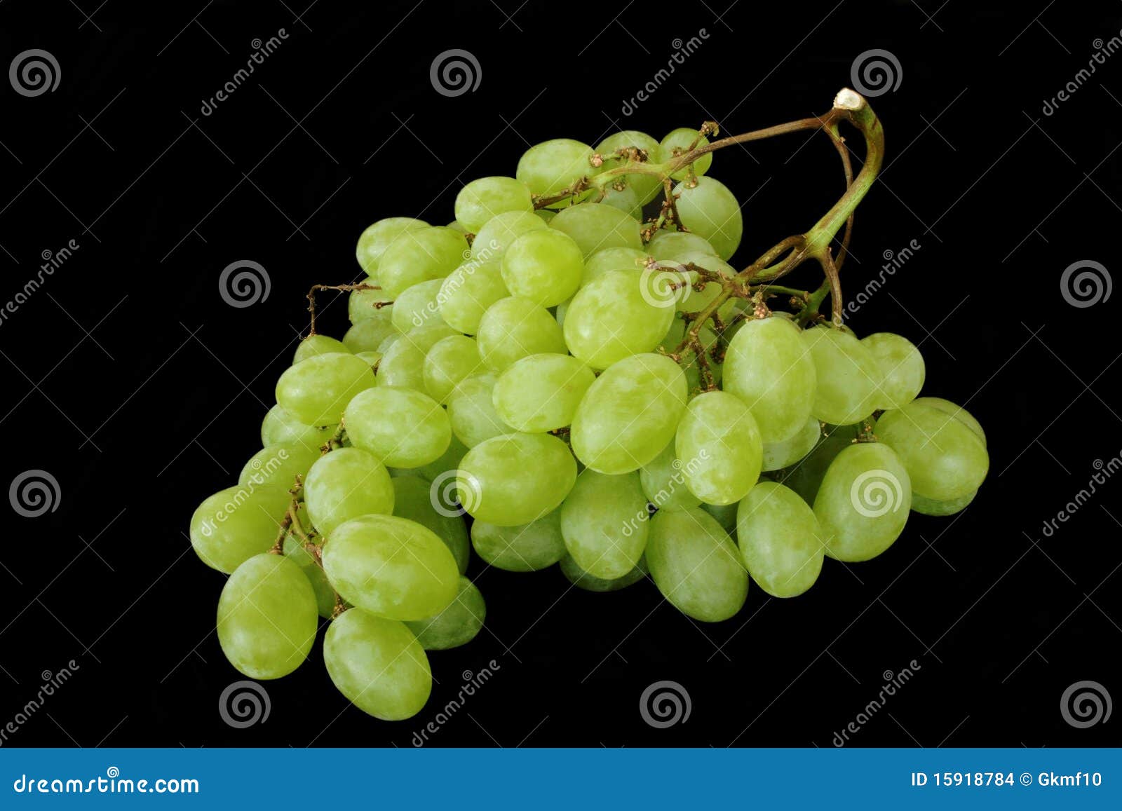 Groene druif stock foto. Image of nagerecht, voer, tuin - 15918784