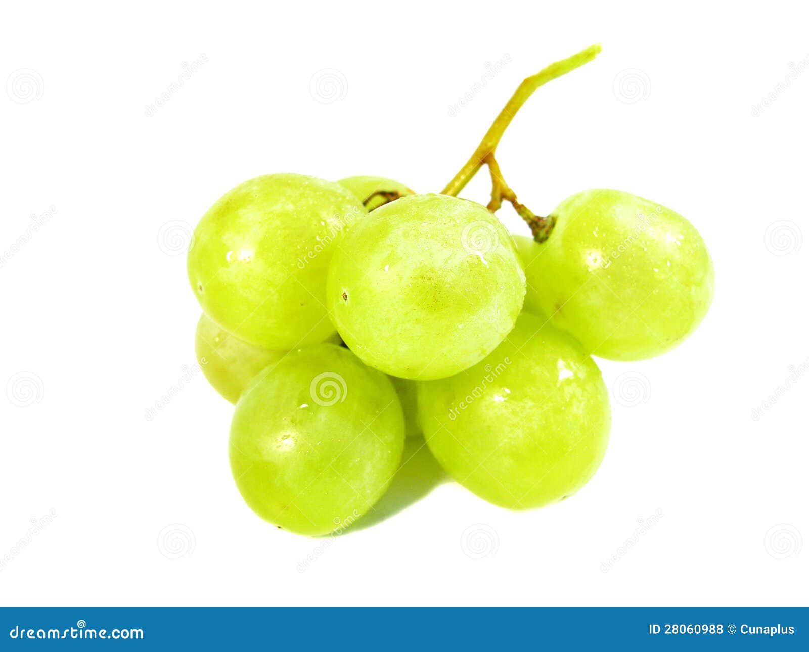 Groene Druiven Met Witte Druif Stock Foto - Image of fotografie ...