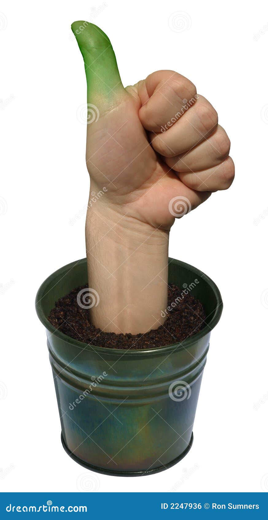 Groene duim stock foto. Image of tuin, groen, installatie - 2247936