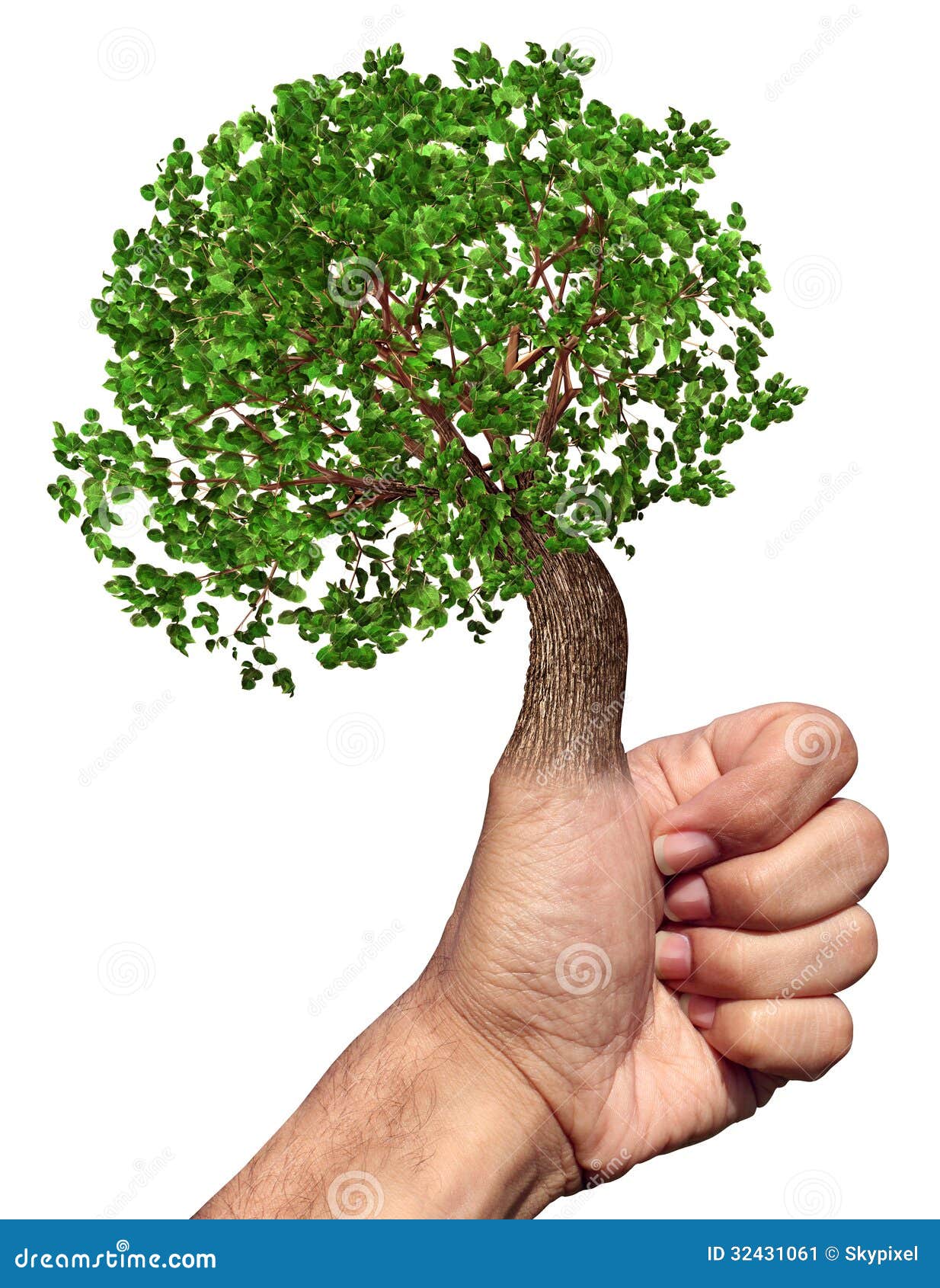 Groene Duim stock illustratie. Illustration of vingers - 32431061