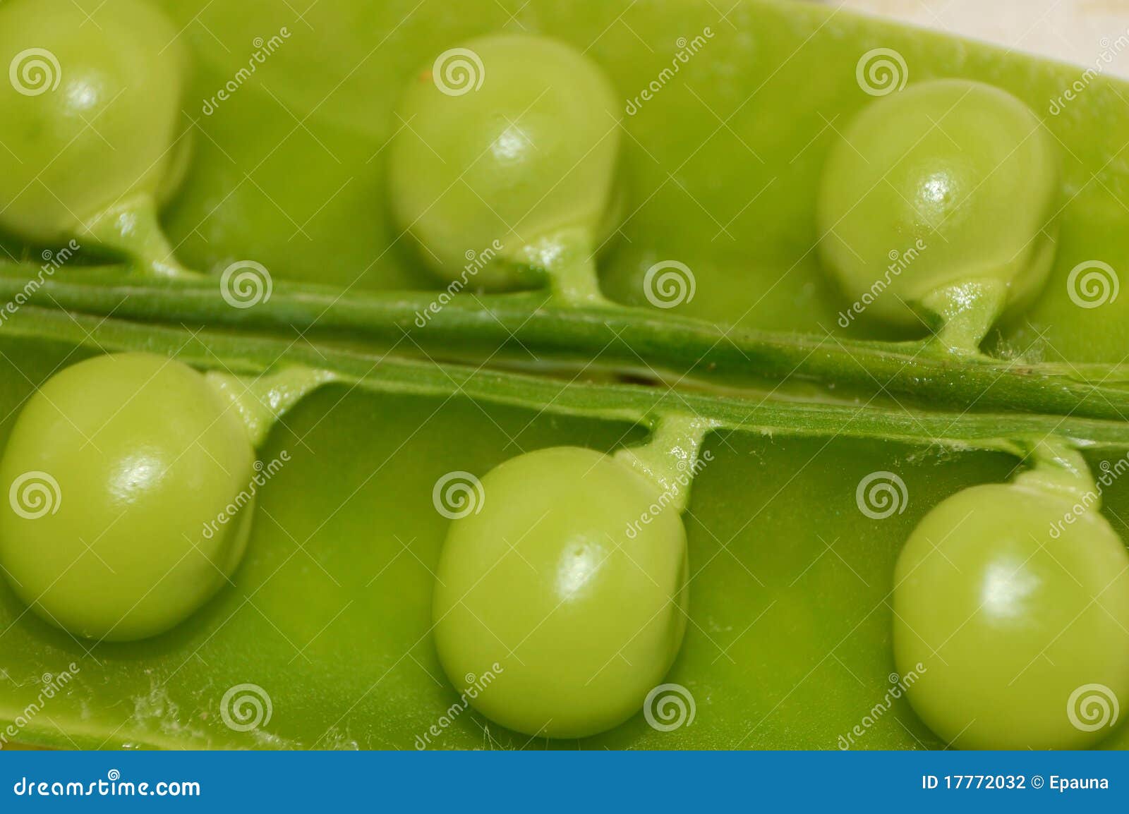 Groene erwt stock foto. Image of oogst, sluit, peulvrucht - 17772032