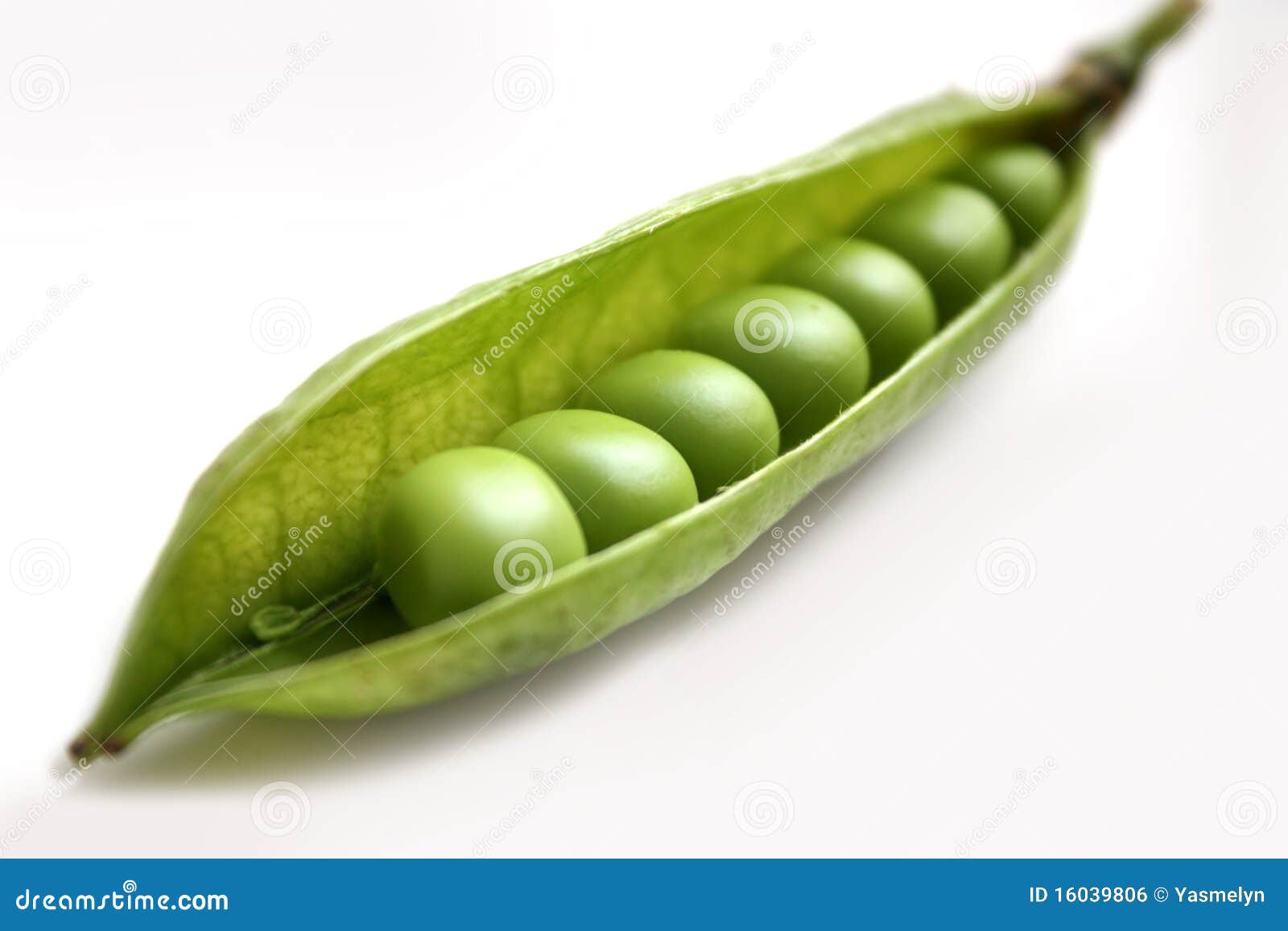 Groene erwt in een peul. stock foto. Image of voedsel - 16039806