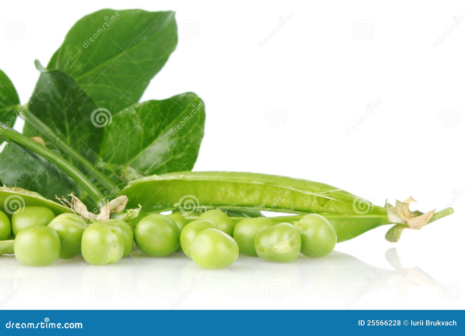 Groene erwt met bladeren stock foto. Image of gezond - 25566228