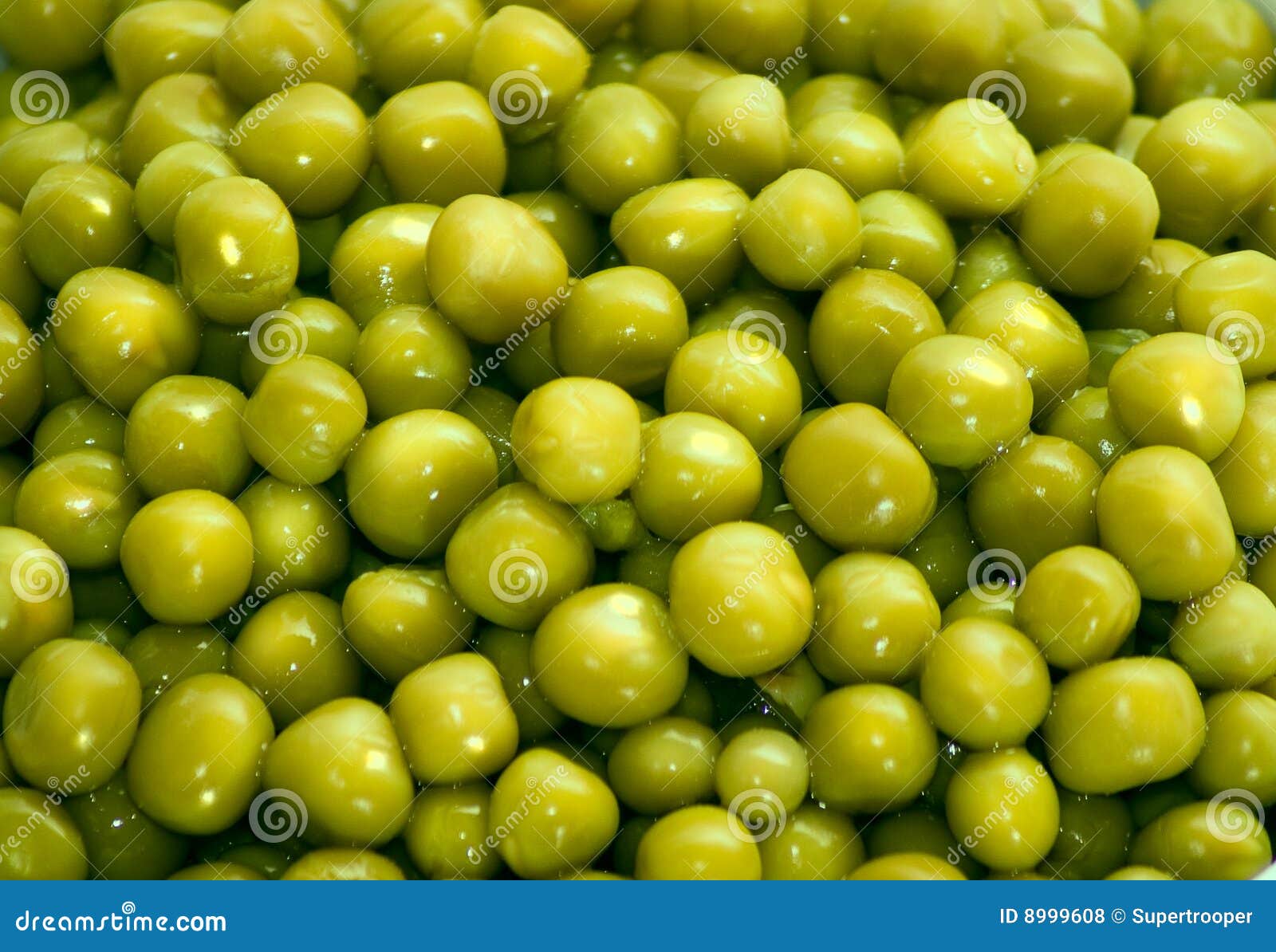 Groene Erwten Picture. Image: 8999608