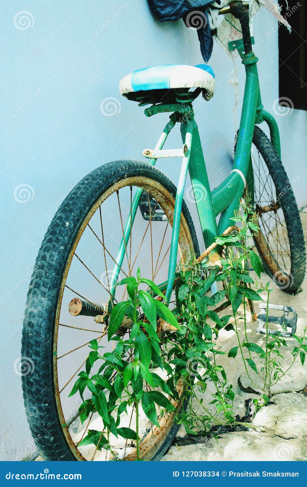 Groene fiets stock foto. Image of metaal, ketting, roestig - 127038334
