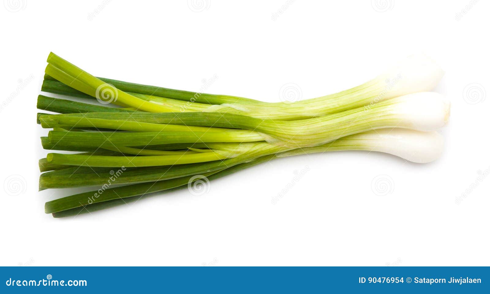 Groene geïsoleerdem ui stock foto. Image of dieet, gehakt - 90476954