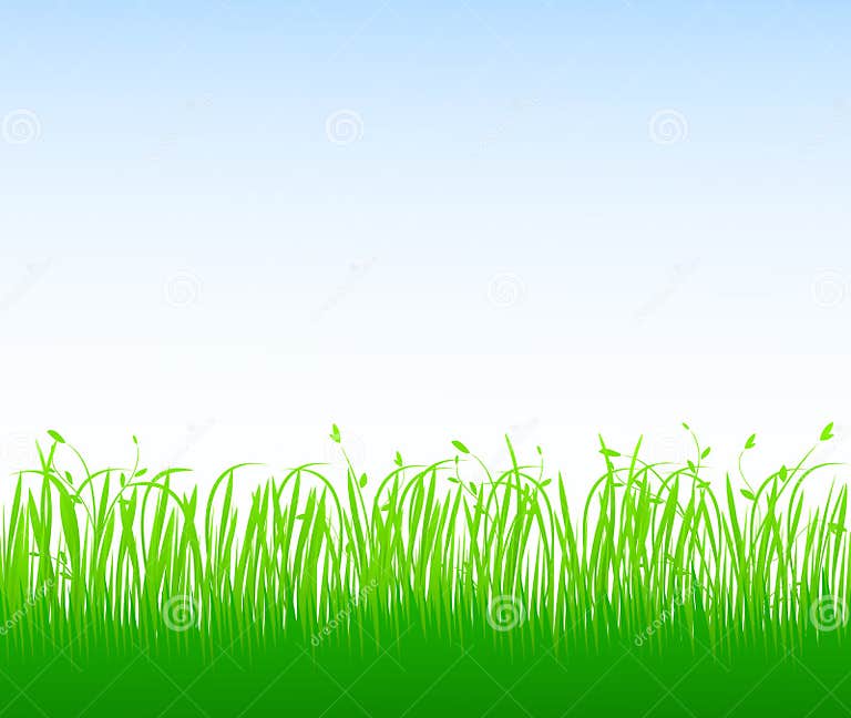 Groene grasvector vector illustratie. Illustration of horizon - 9047163
