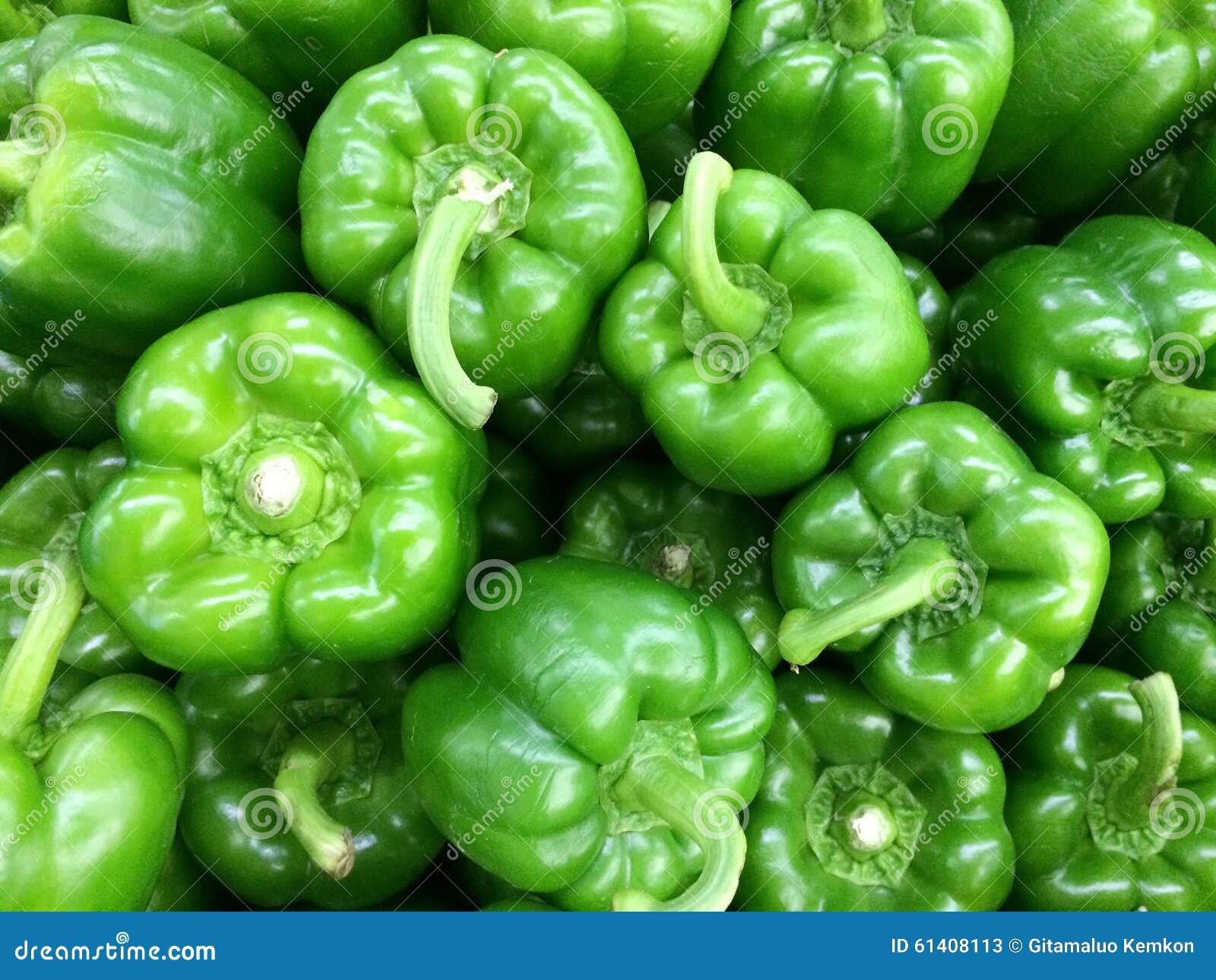 Groene Groene paprika stock afbeelding. Image of klok - 61408113
