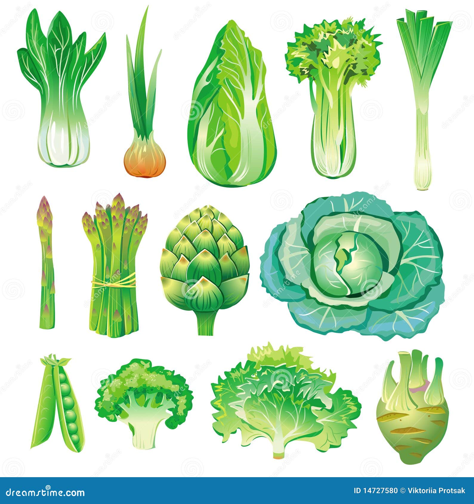 Groene groenten vector illustratie. Illustration of landbouw - 14727580