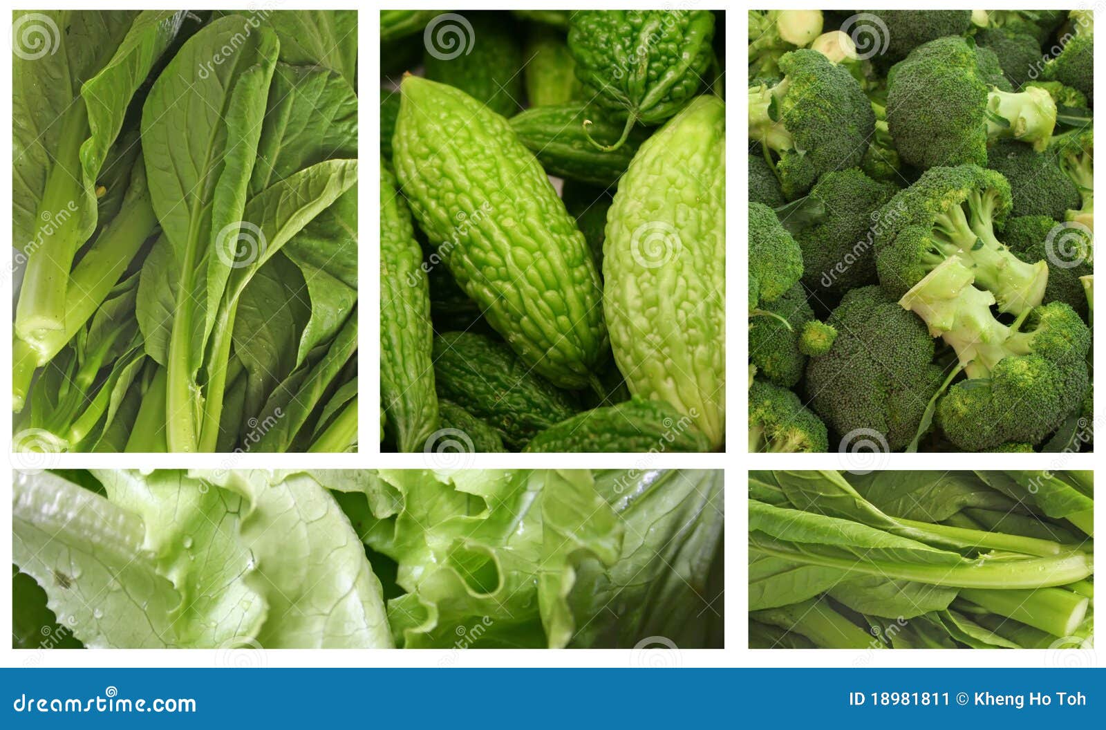 Groene Groenten stock afbeelding. Image of aantrekkelijk - 18981811