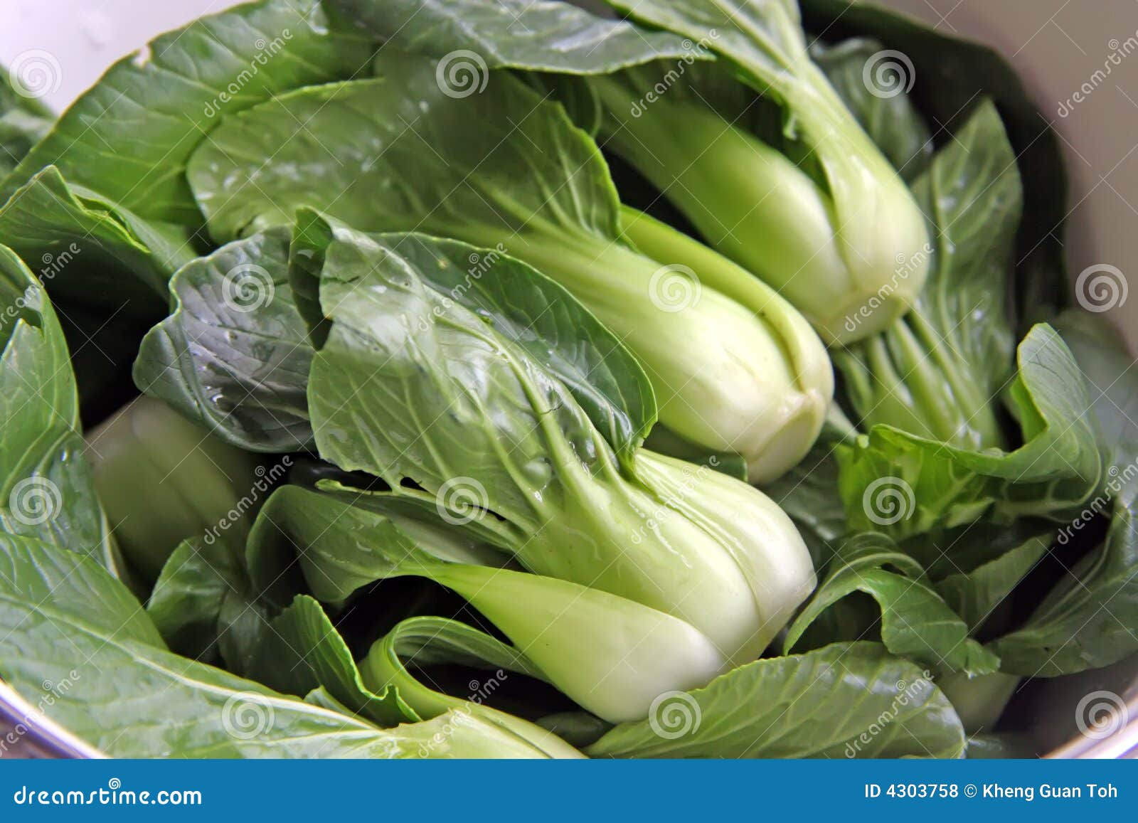 Groene groenten stock foto. Image of baby, opbrengst, ingrediënten ...