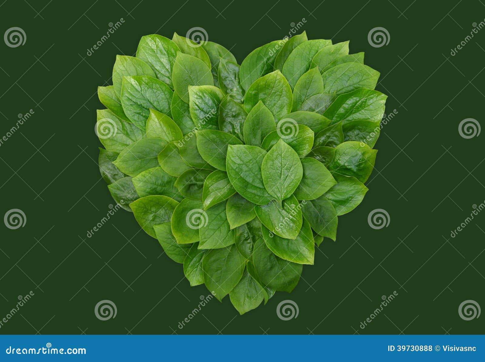 Groene Hart-vormige Bladeren, Hartvorm, Stock Foto - Image of leven ...