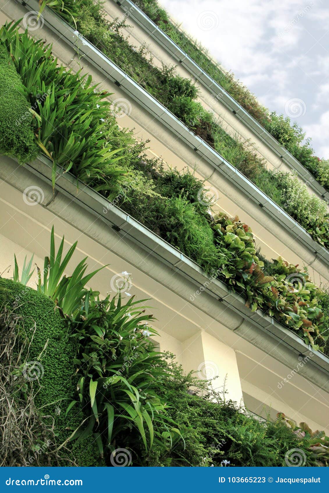 Groene Installaties Op Balkons Stock Afbeelding - Image of frankrijk ...
