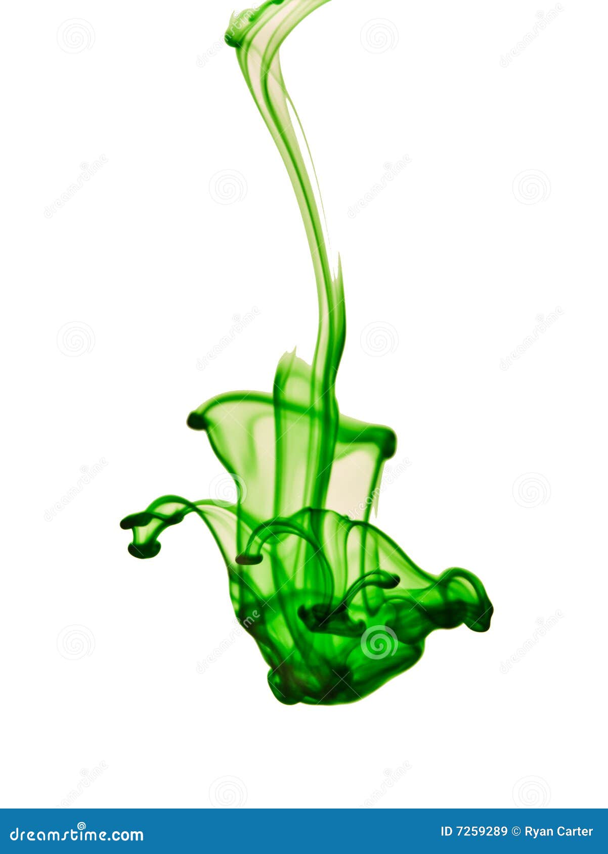 Groene Kleurstof stock afbeelding. Image of voedsel, kleur - 7259289