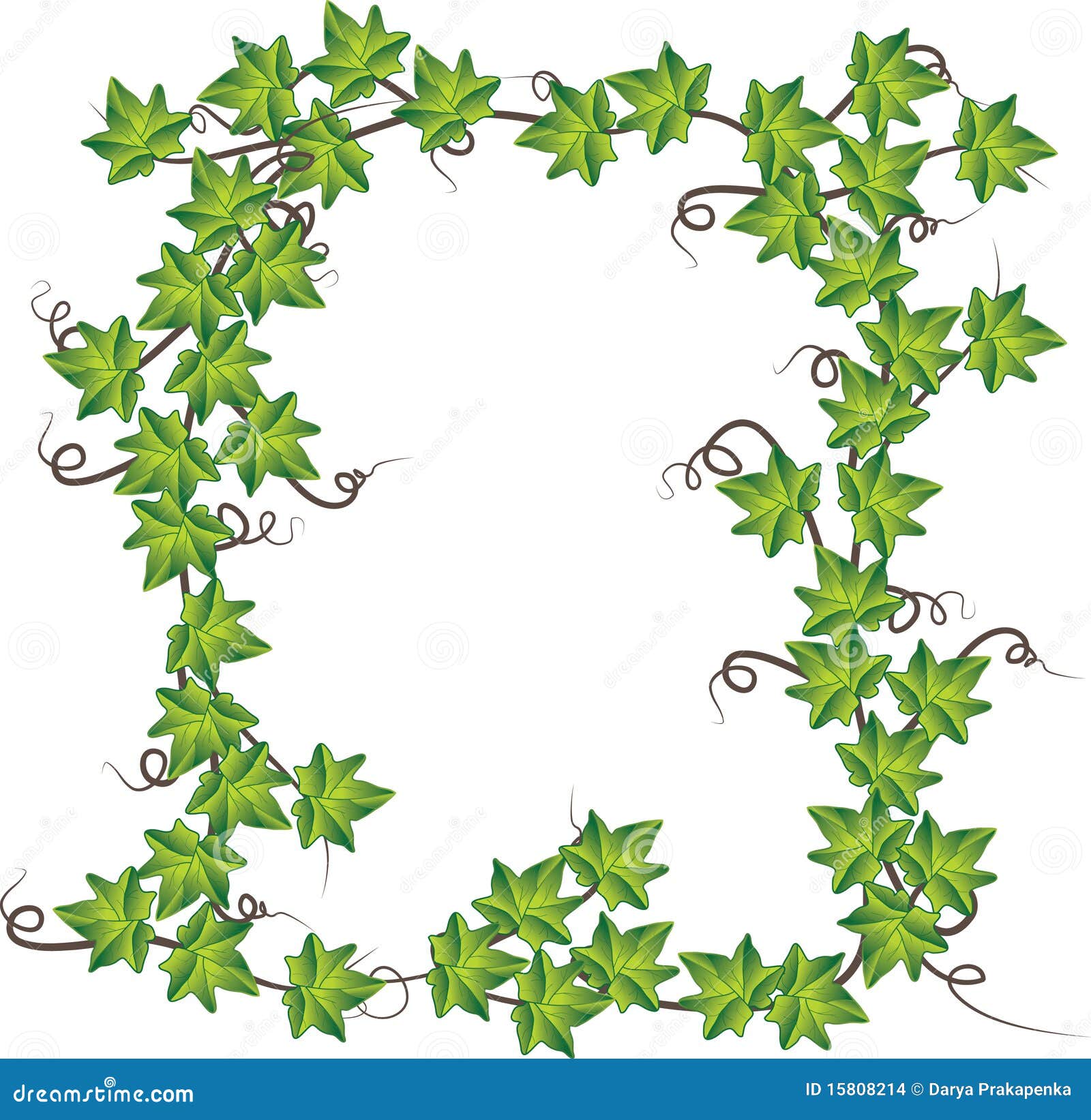 Groene Klimop. Vector Illustratie Vector Illustratie - Illustration of ...