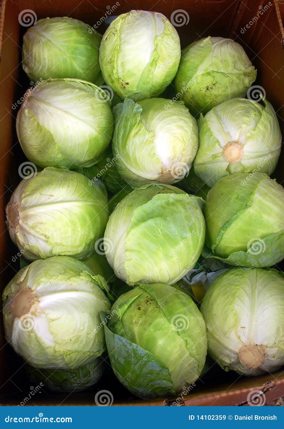 Groene Kool stock afbeelding. Image of koken, vers, groenten - 14102359