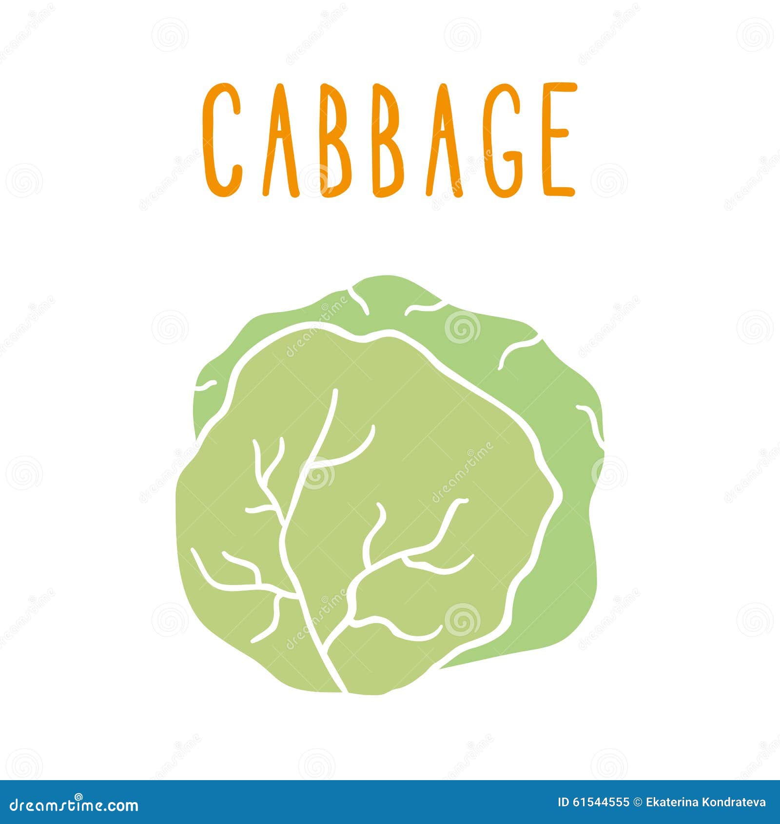 Groene kool op wit vector illustratie. Illustration of tekening - 61544555