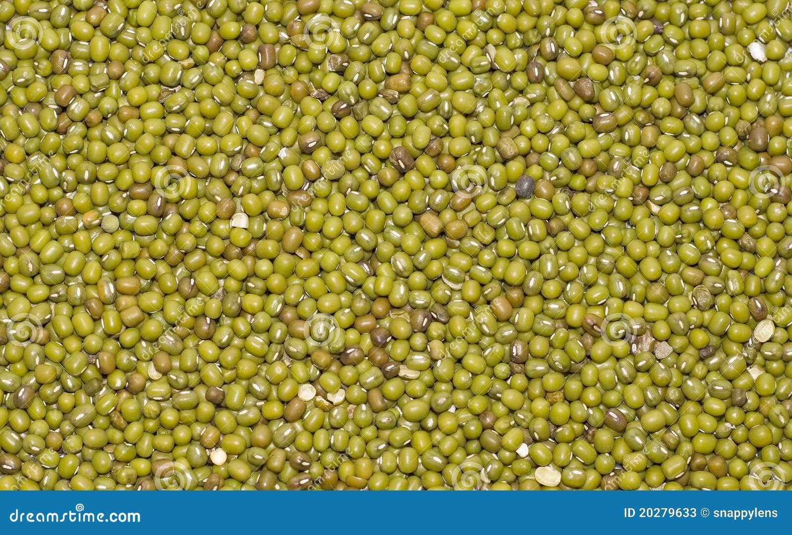 Groene Linzen stock afbeelding. Image of gezondheid, dieet - 20279633