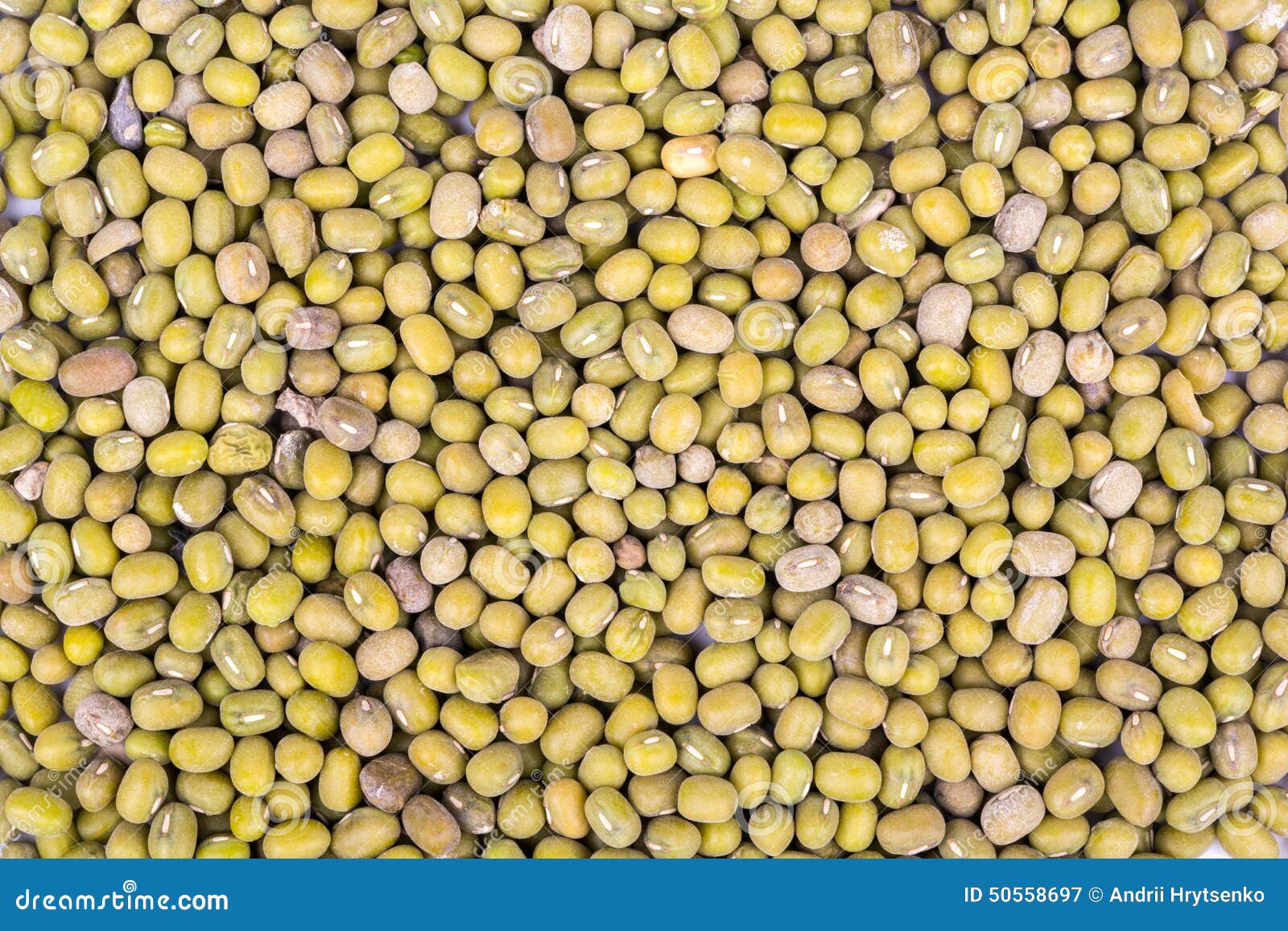 Groene linzen stock afbeelding. Image of stapel, gezond - 50558697