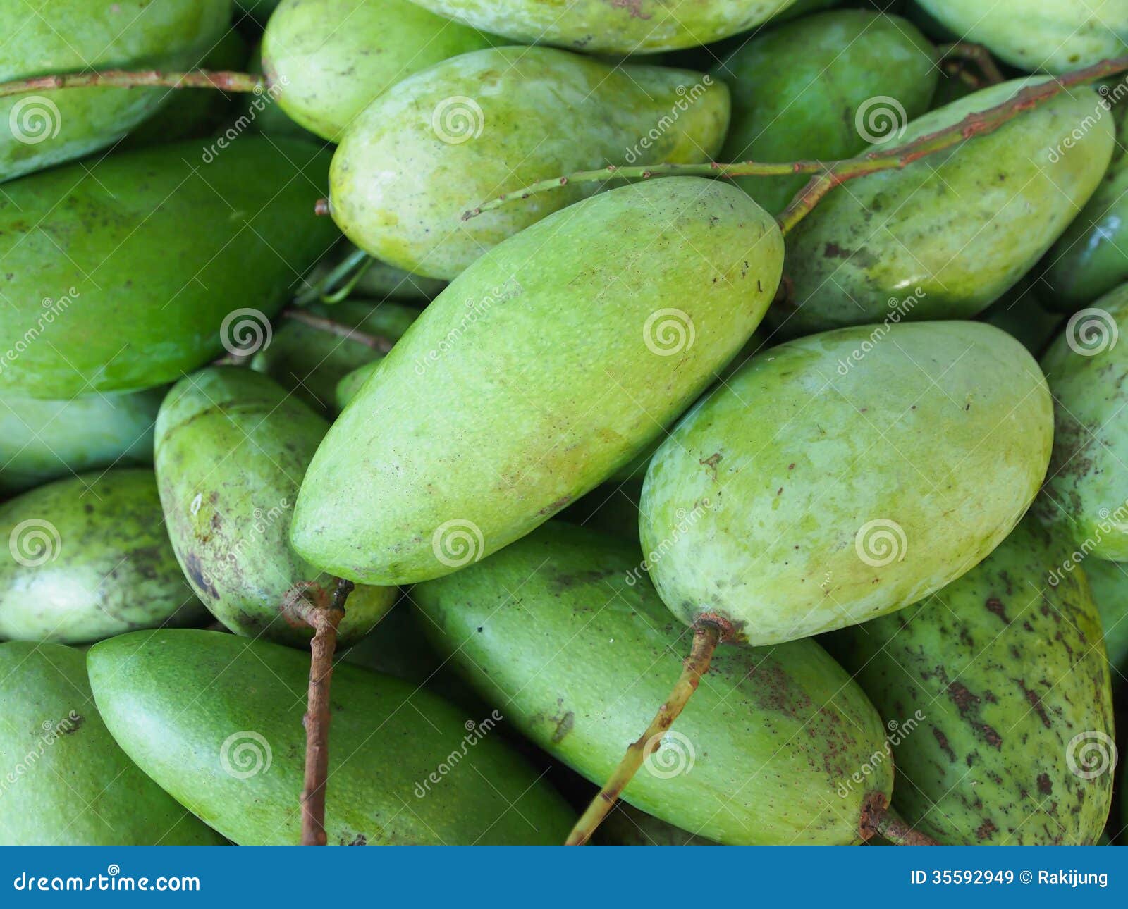 Groene Mango's stock afbeelding. Image of sinaasappel - 35592949