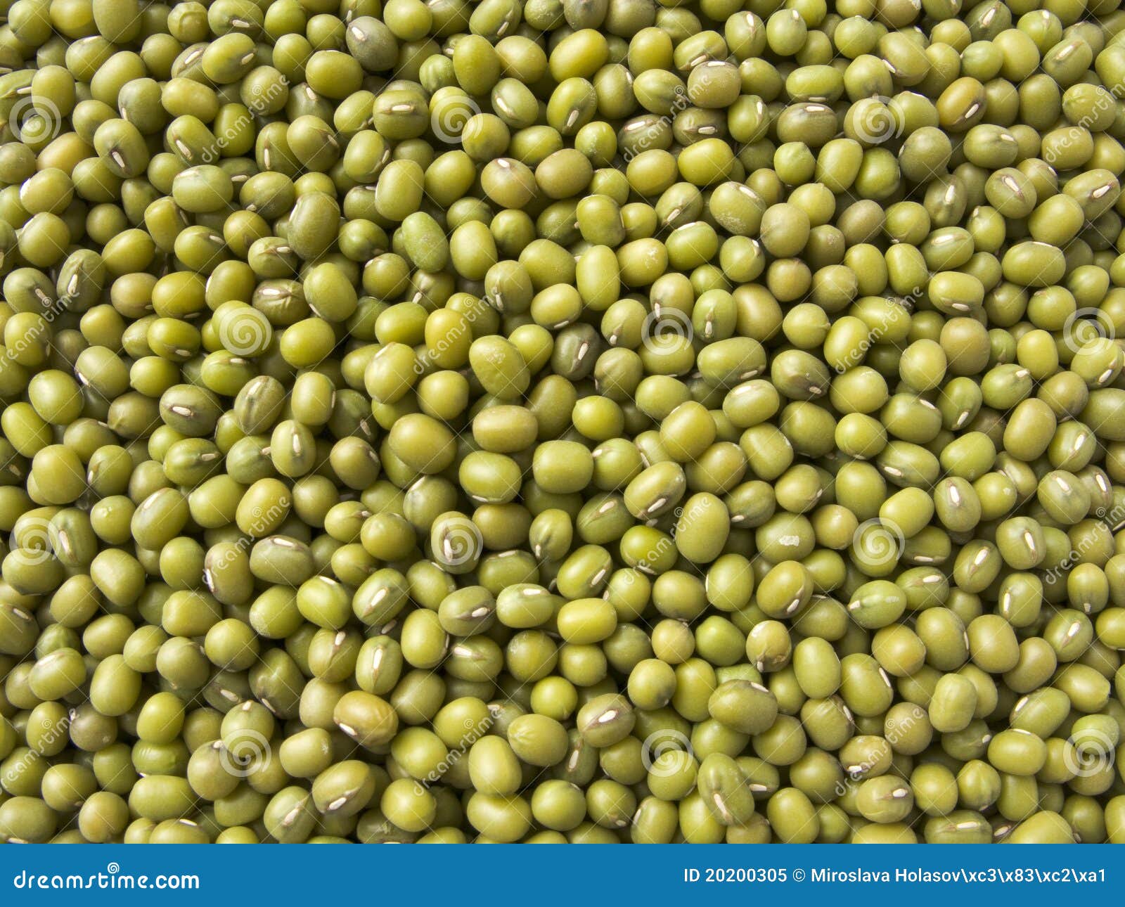 Groene mung bonen stock afbeelding. Image of droog, ingrediënt - 20200305