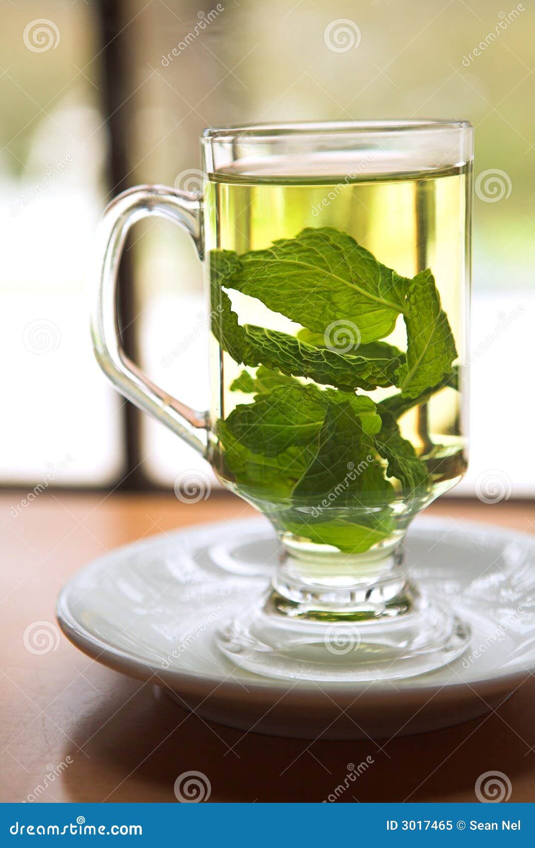 Groene muntthee stock afbeelding. Image of organisch, heet - 3017465