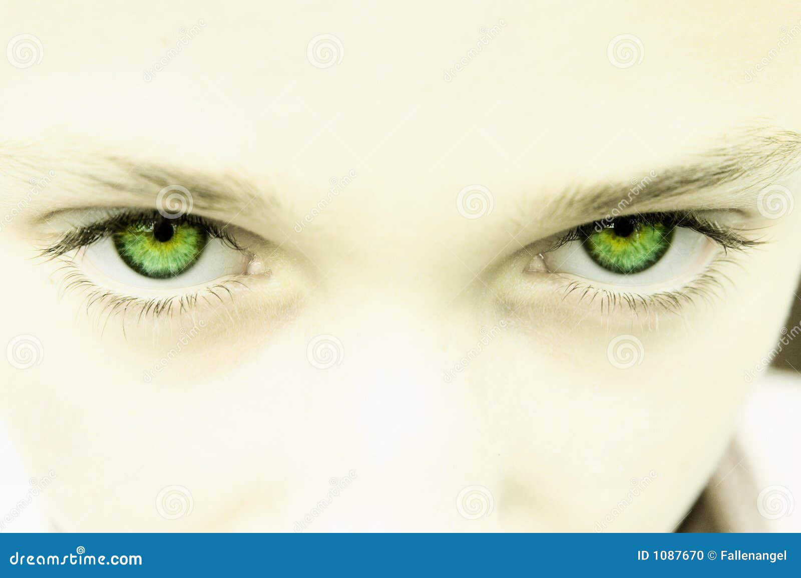 Groene ogen stock foto. Image of groen, vrouwen, schoonheid - 1087670