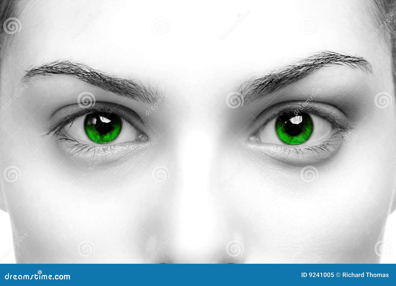 Groene ogen stock afbeelding. Image of hoog, helder, ogen - 9241005