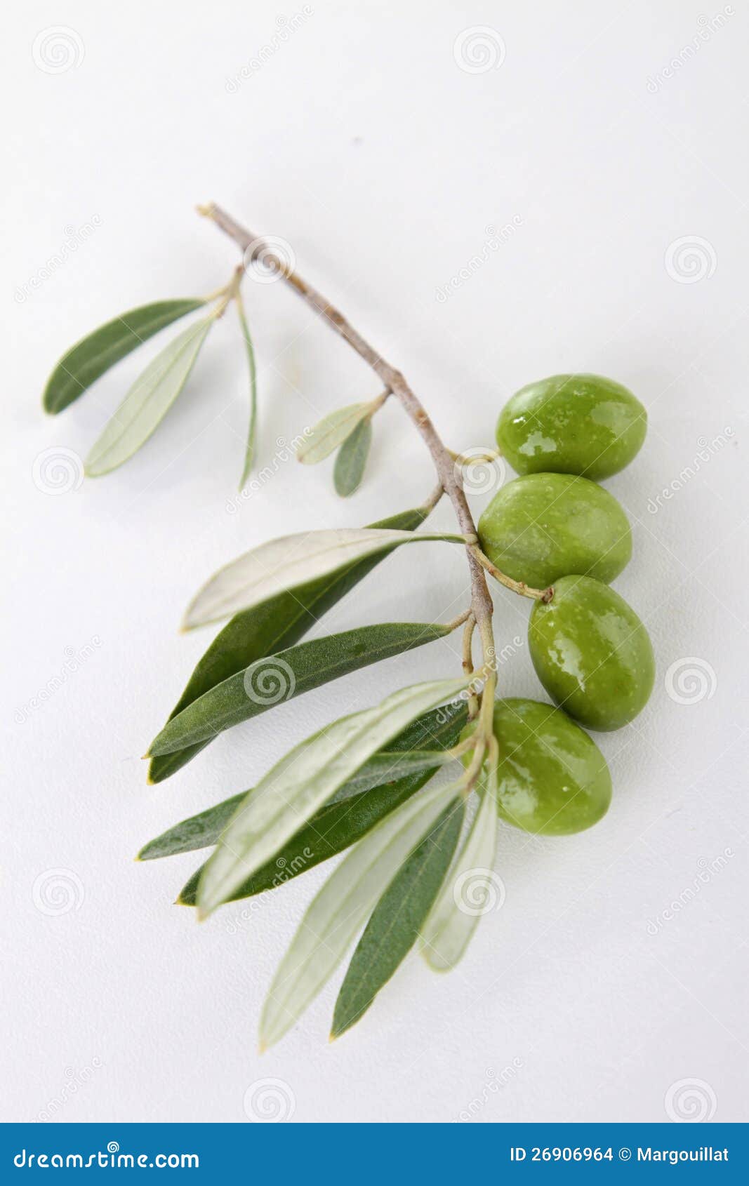 Groene olijf stock foto. Image of organisch, ingrediënt - 26906964
