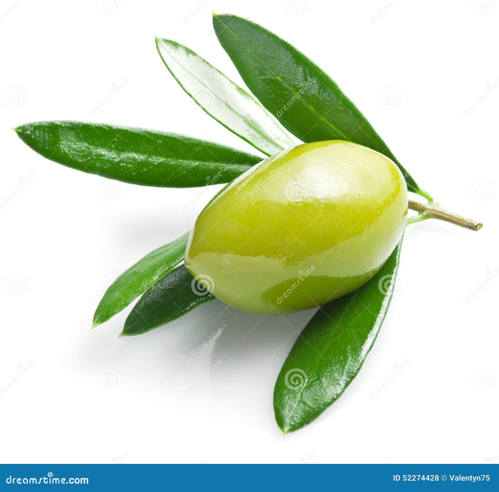 Groene Olijf met Bladeren stock foto. Image of macro - 52274428