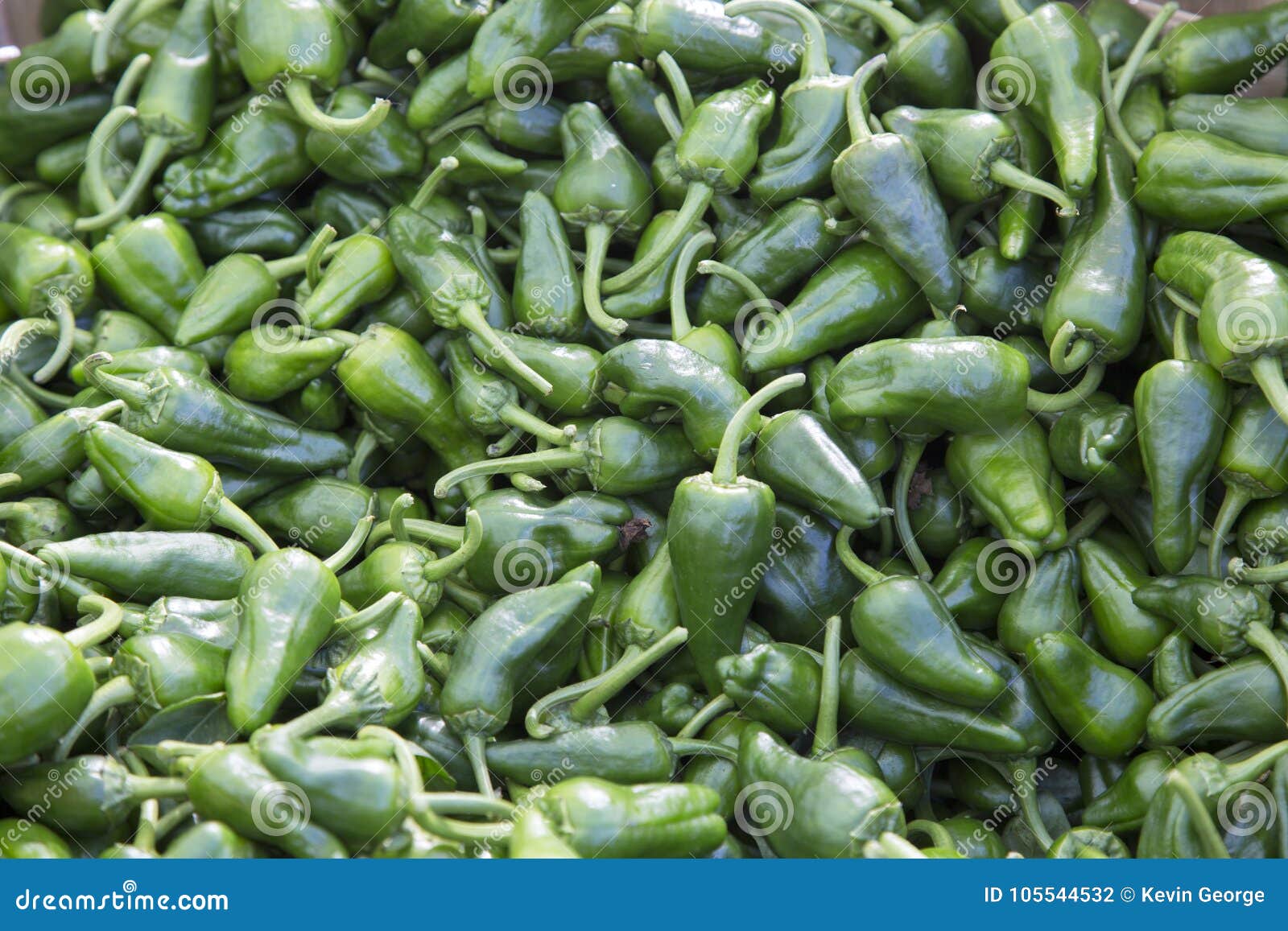 Groene Padron-Peper stock foto. Image of plantaardig - 105544532