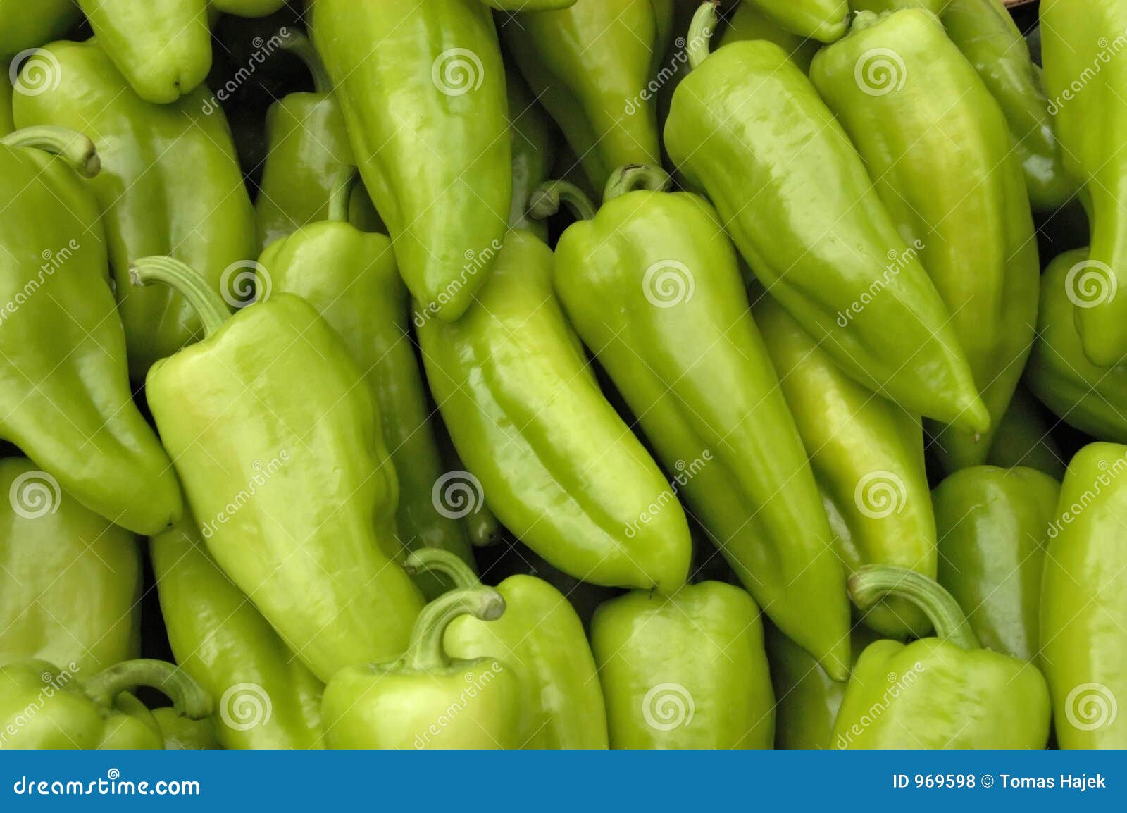 GROENE PAPRIKA'S stock foto. Image of voedzaam, culinair - 969598