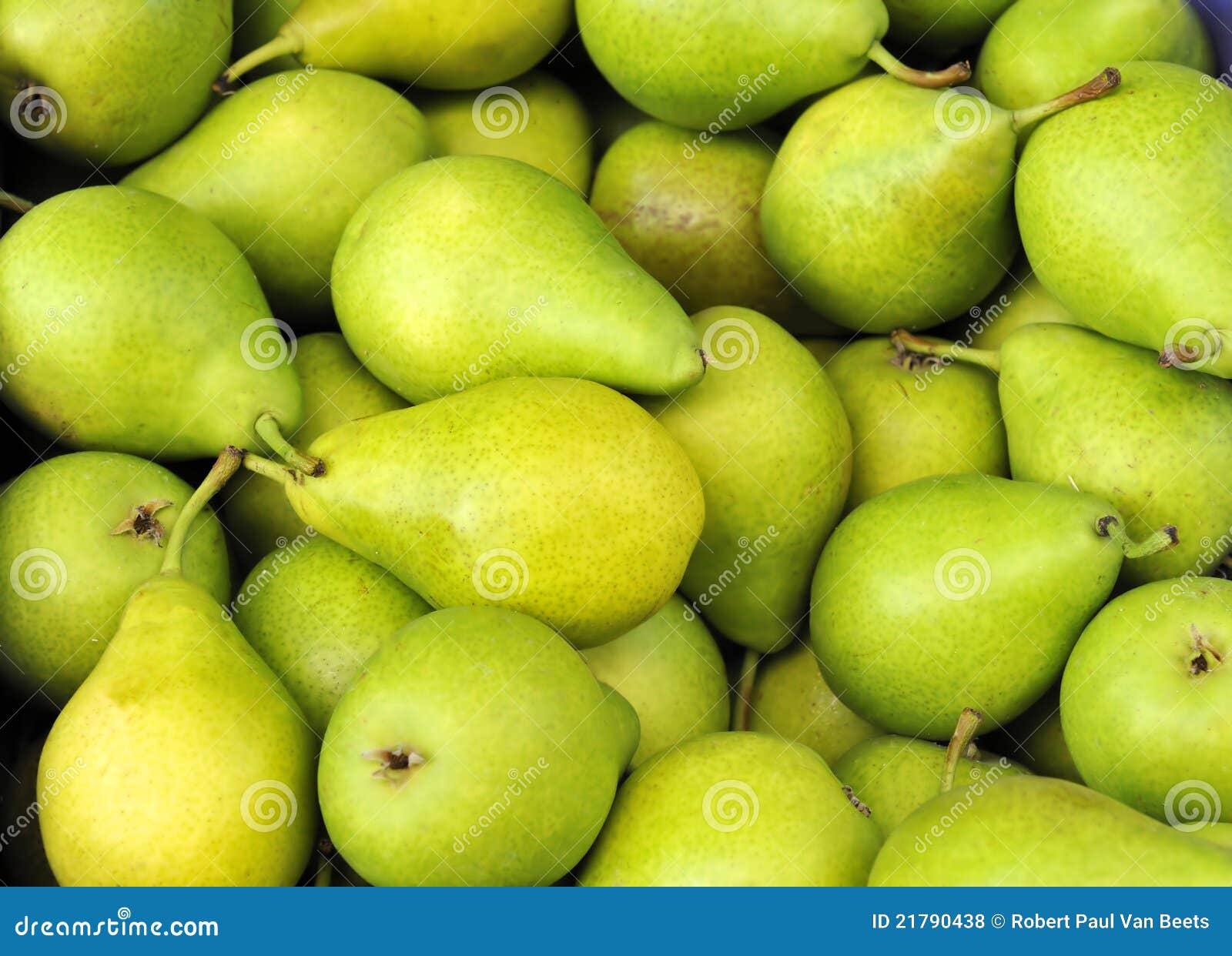 Groene peren stock foto. Image of diëet, veganistisch - 21790438