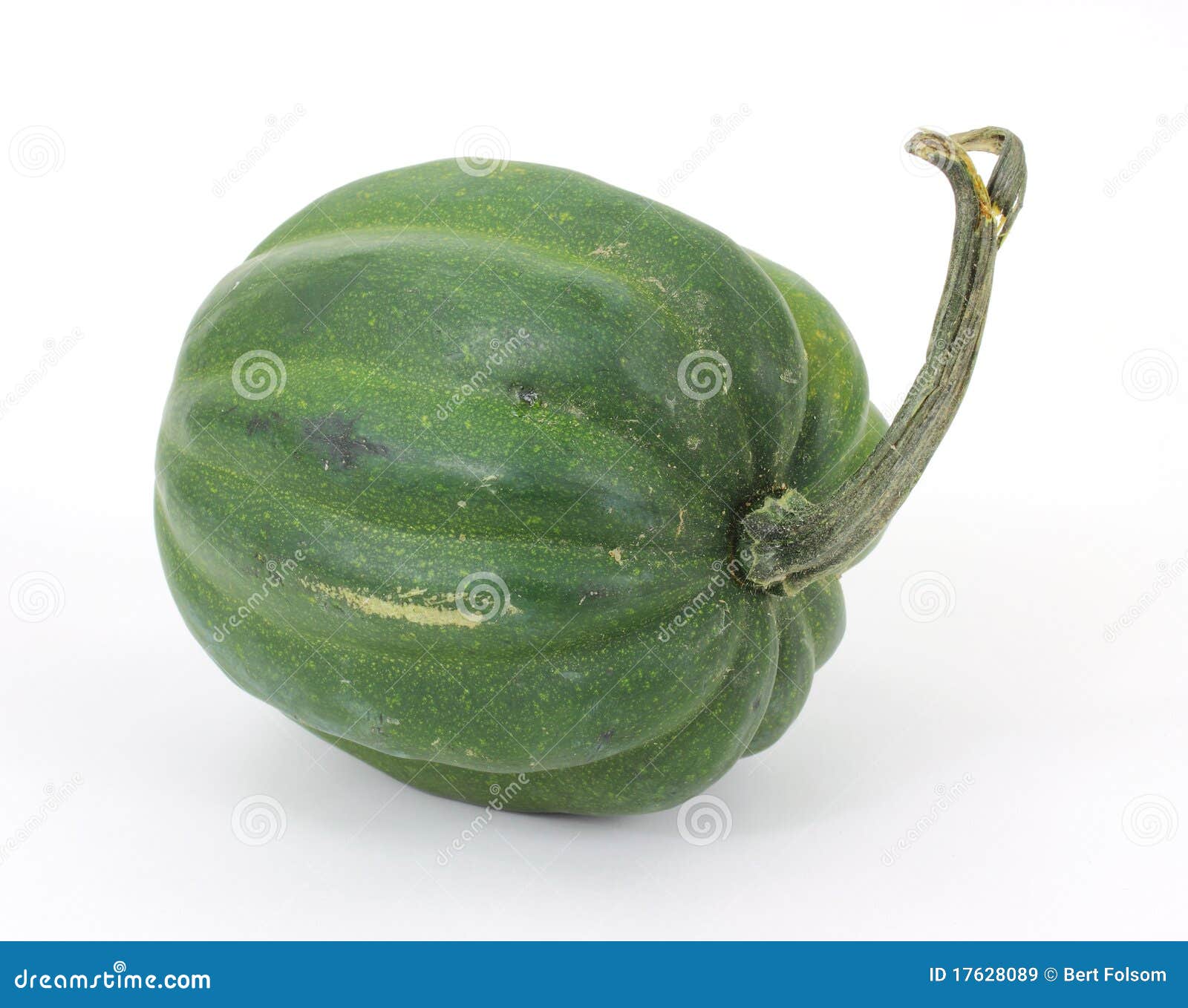 Groene pompoen stock afbeelding. Image of ongekookt, groen - 17628089