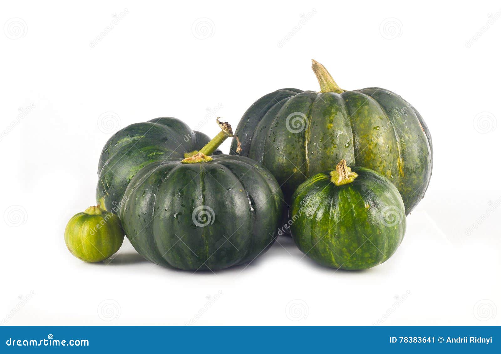 Groene Pompoen Op Witte Achtergrond Stock Afbeelding - Image of oogst ...