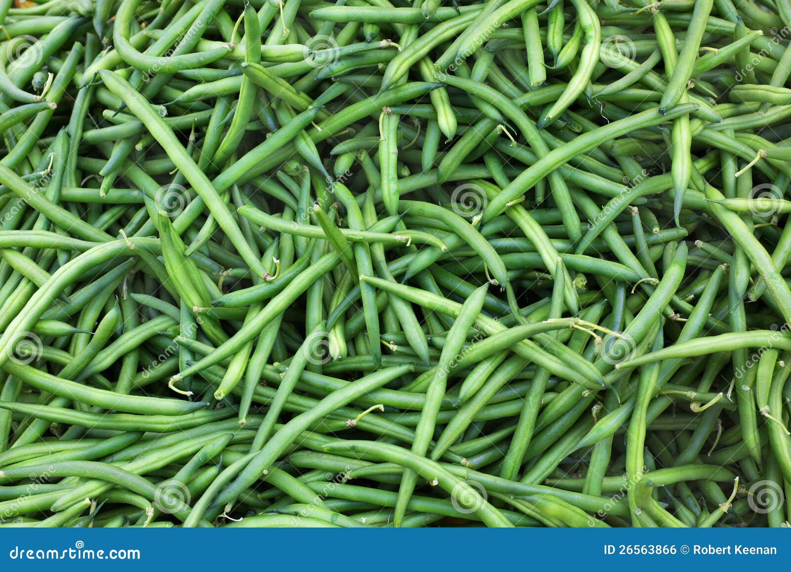 Groene Snijbonen stock foto. Image of vegetariër, groep - 26563866