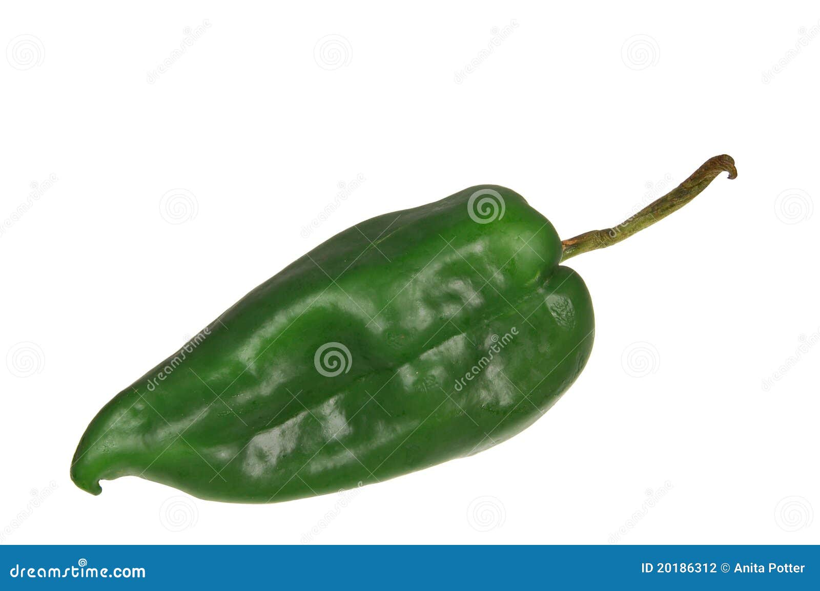 Groene Spaanse Peper Poblano Stock Foto - Image of groen, naughty: 20186312