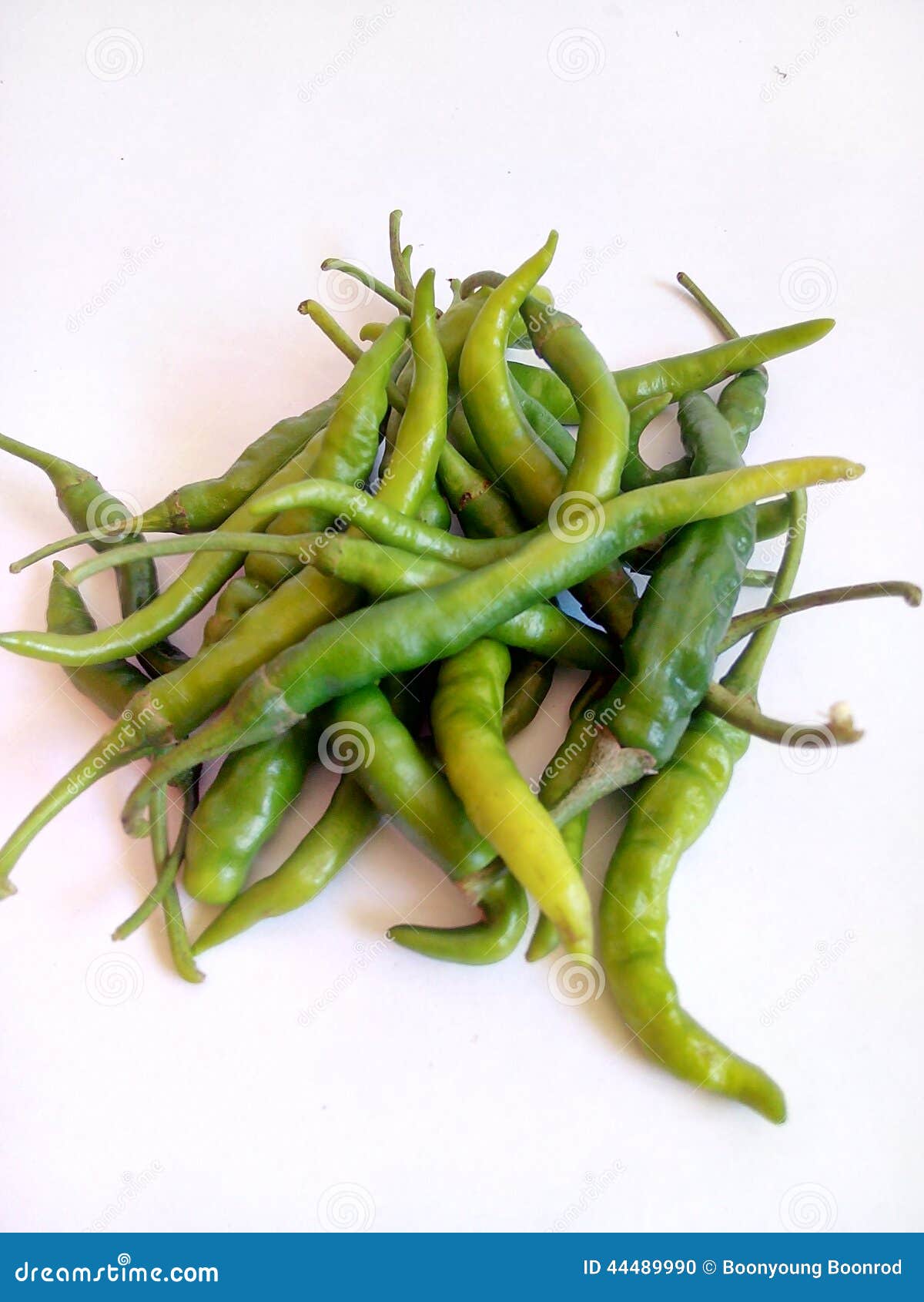 Groene Spaanse pepers stock foto. Image of land, aanplant - 44489990