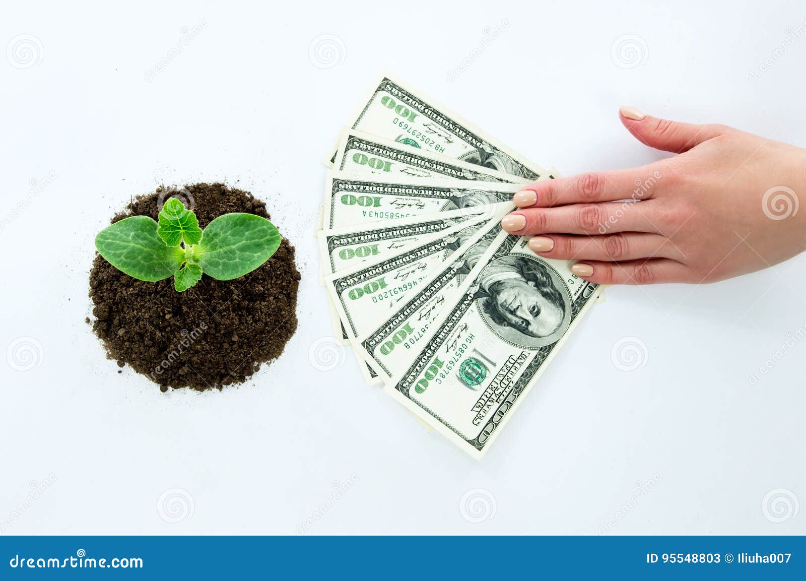 Groene Spruit, Handen Die Geld Houden Stock Afbeelding - Image of grond ...