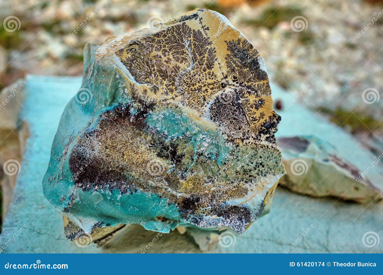 Groene Steen Met Installatiefossielen Stock Foto - Image of licht ...