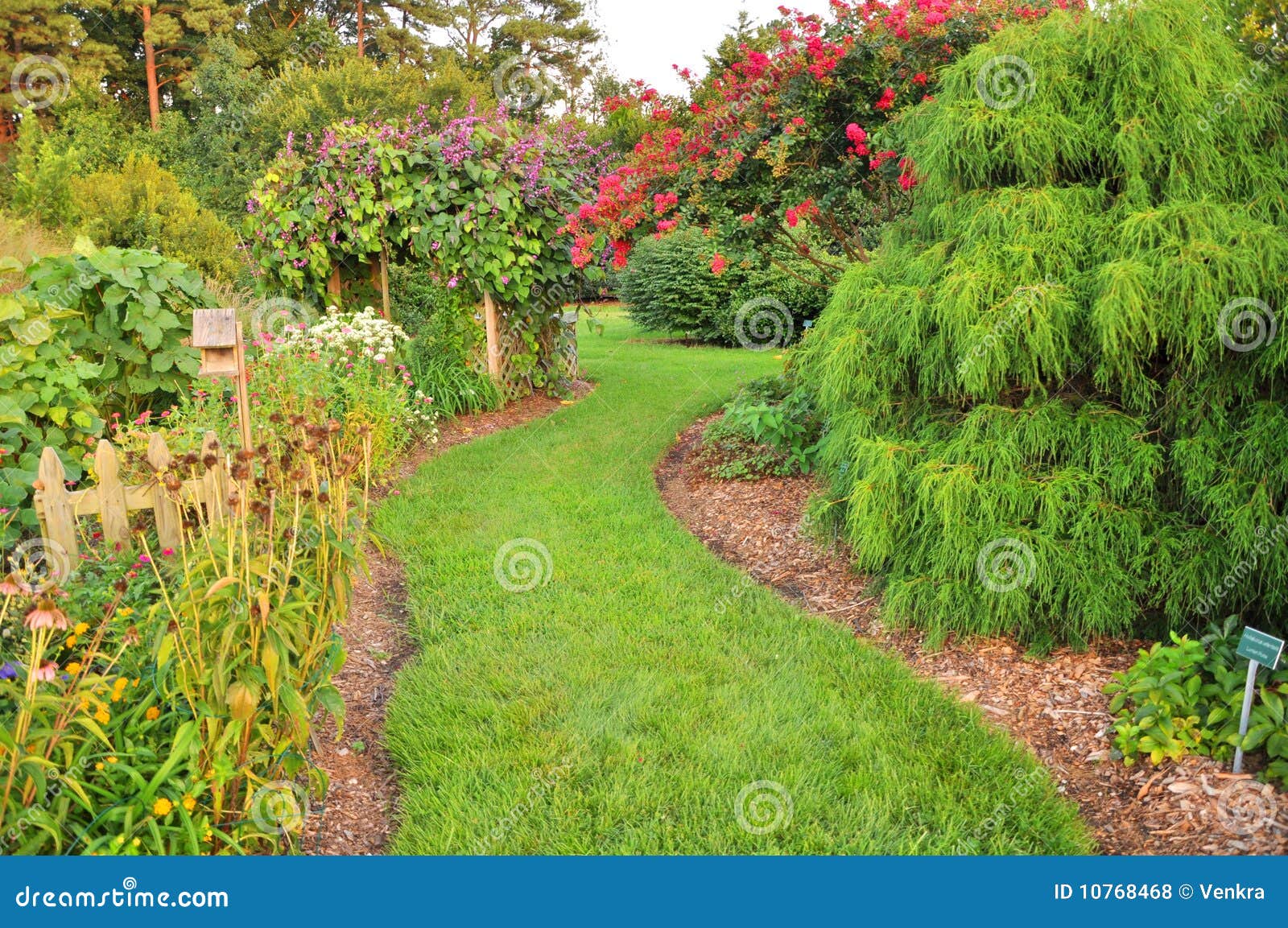 Groene tuin stock foto. Image of tuin, maai, installatie - 10768468