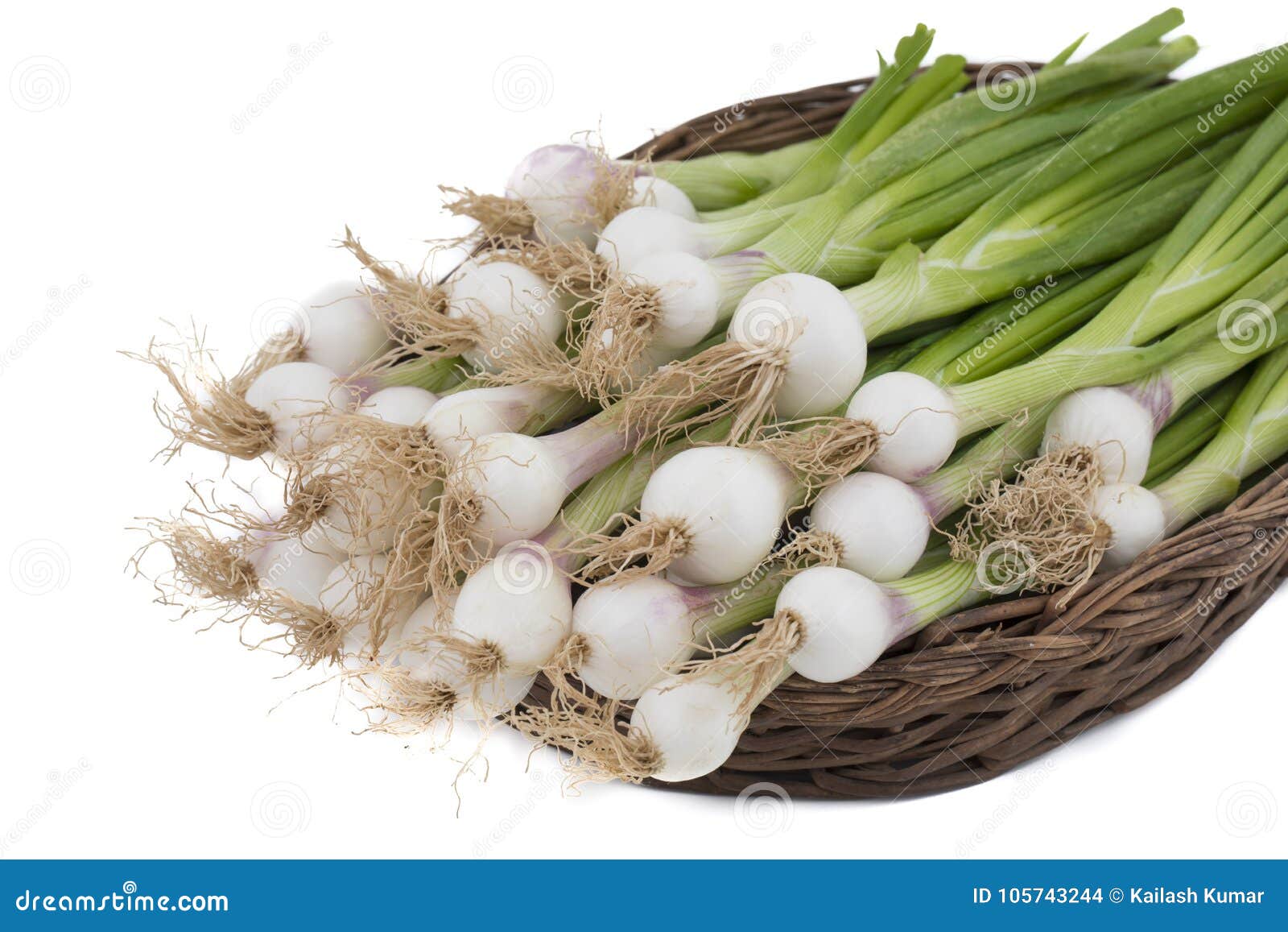 Groene ui stock foto. Image of kruiden, blad, salade - 105743244
