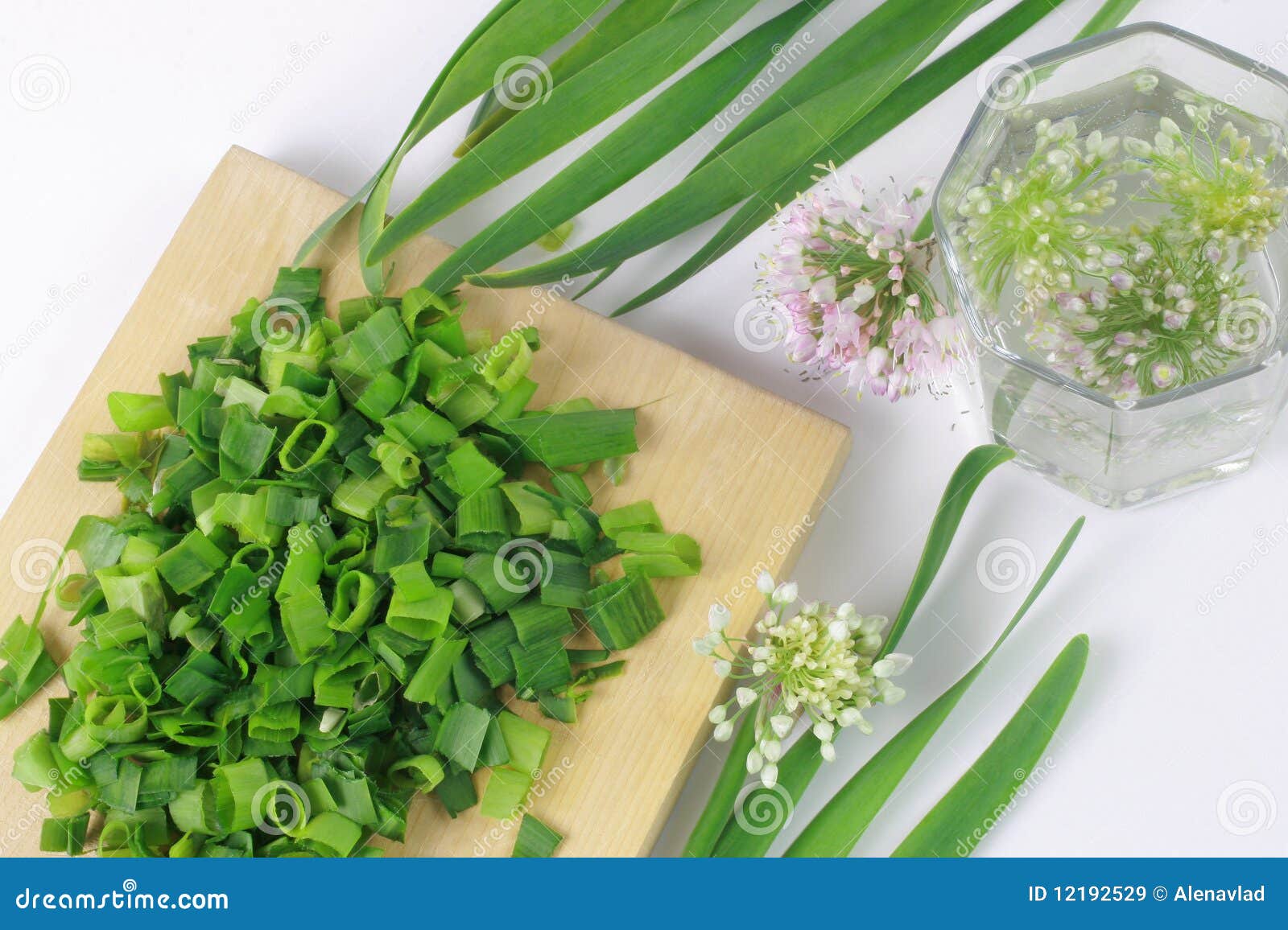 Groene ui stock afbeelding. Image of kruiden, dieet, vers - 12192529