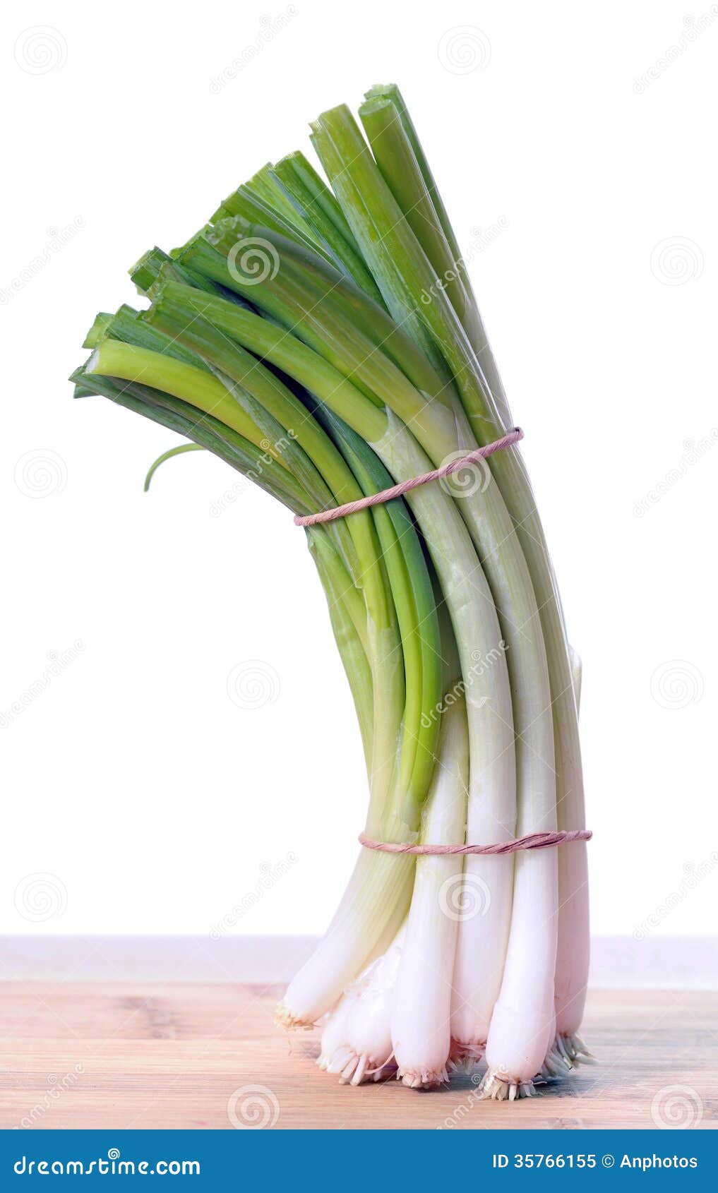 Groene ui stock afbeelding. Image of gezond, vers, groen - 35766155