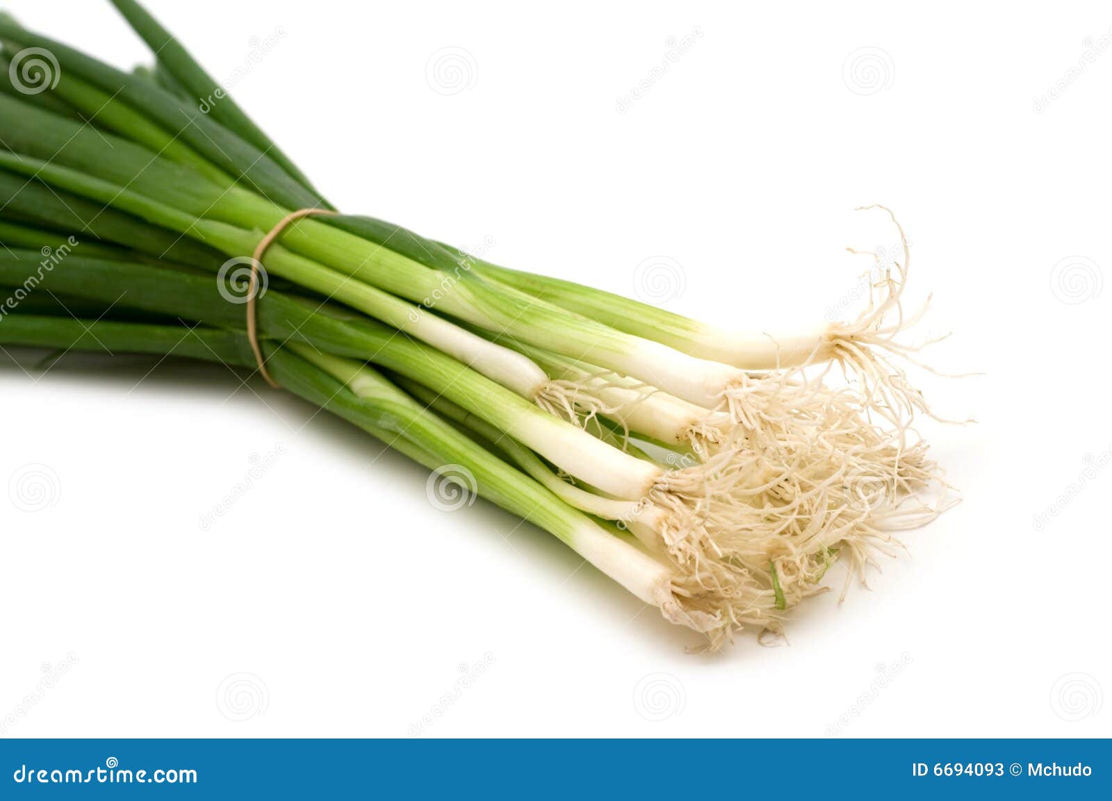 Groene ui stock afbeelding. Image of voedsel, groen, dieet - 6694093